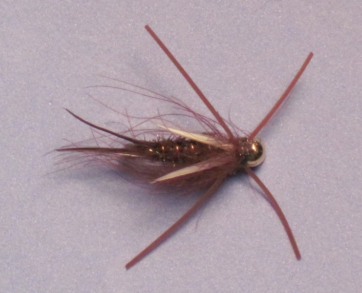 Caddis and Mayfly Nymphs - Beartooth Flyfishing