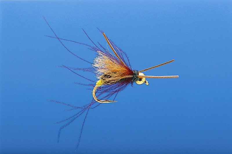 Caddis and Mayfly Nymphs - Beartooth Flyfishing
