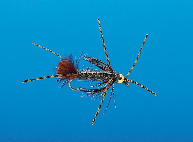 Caddis and Mayfly Nymphs - Beartooth Flyfishing