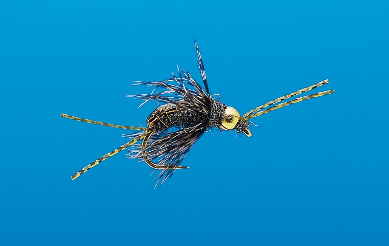Caddis and Mayfly Nymphs - Beartooth Flyfishing